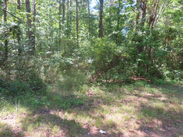 0 Garvey Rd, Summerton, SC 29148 | MLS #25012 | Compass