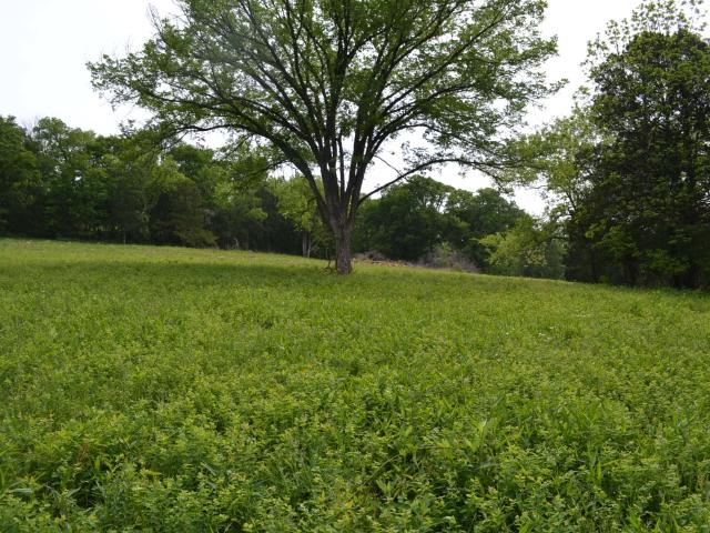 0 Gattistown Rd