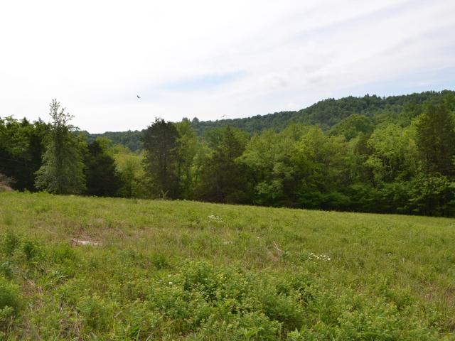 0 Gattistown Rd, Mulberry, TN 37359 | MLS #3183