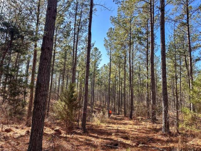0 Gaylor Rd, Lyerly, GA 30730 | MLS #7724