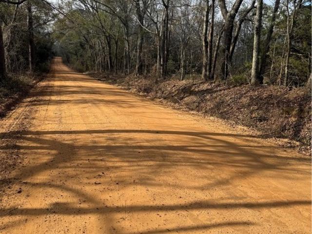 0 George Moore Rd, Statesboro, GA 30461 | MLS #SA333925