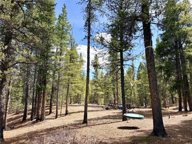 0 George's Way, Alma, CO 80420 | MLS #S1068 | Compass
