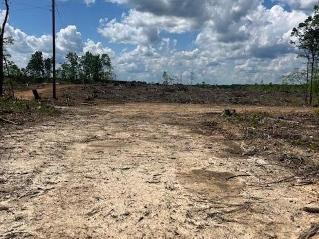 0 Germantown Rd, Meherrin, VA 23954 | MLS #2608