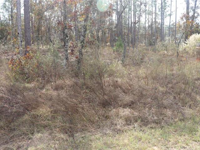 0 Geranium Ave, Dunnellon, FL 34431 | MLS #OM714099
