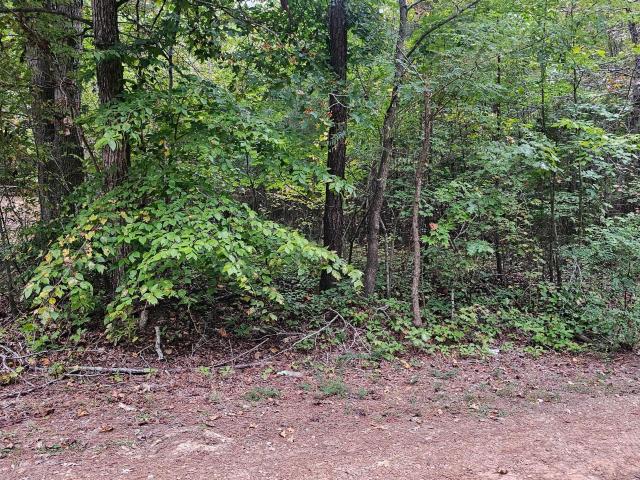 0 Gilliland St, Warrenton, NC 27589 | MLS #10129 | Compass