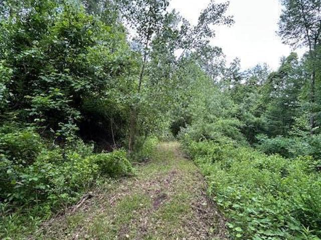 0 Glendale Rd, Housatonic, MA 01236 | MLS #248566
