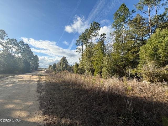 0 Glenmore Ct, Marianna, FL 32446 | MLS #783470