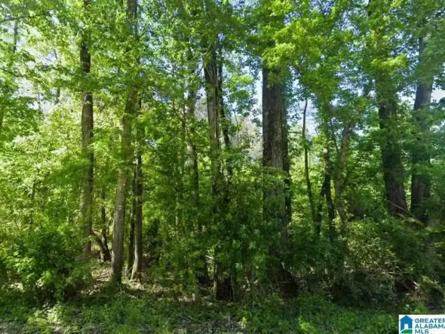 0 GLOVERS FERRY ROAD, ALPINE, AL 35014 Vacant Land For Sale M.