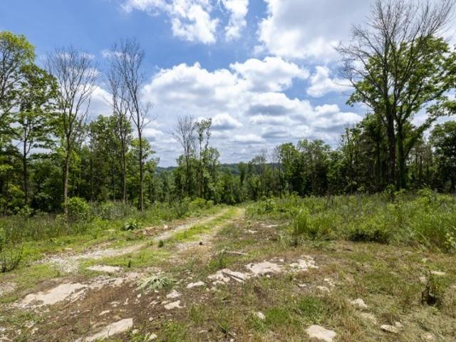 0 Goose Branch Rd