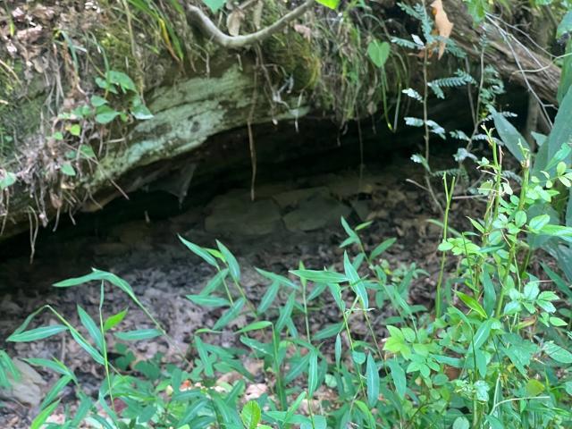 0 Goose Creek Road