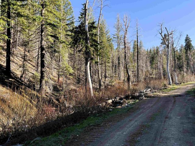 0 Gold Run Road