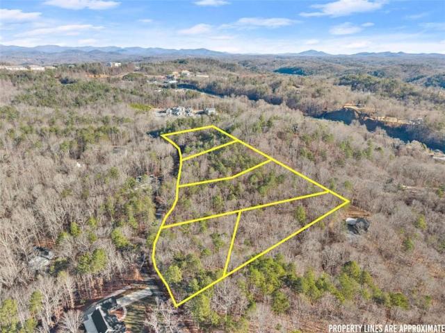 0 Golden Ave, Lot 4, Dahlonega, GA 30533 | MLS #7769