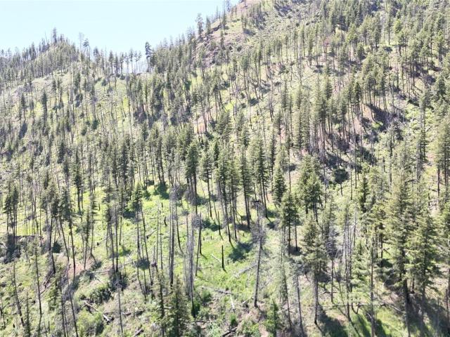 0 Golden Creek Loop Road