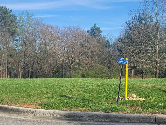0 Golf Trail Rdg