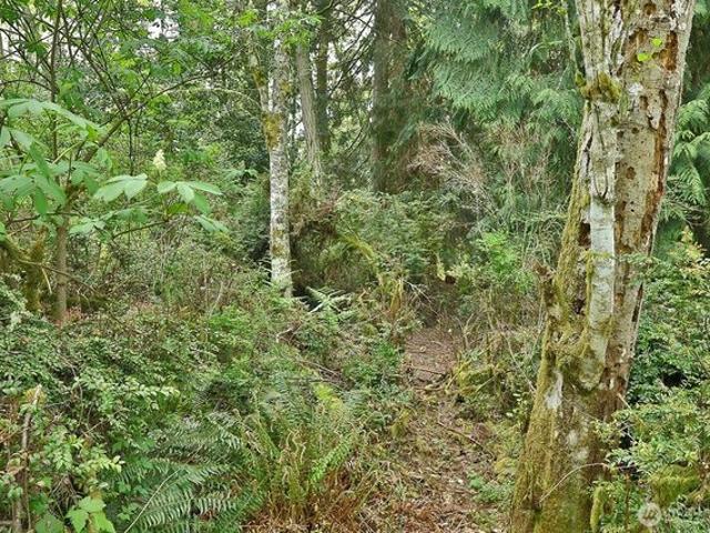 0 Goss Lake Rd, Langley, WA 98260