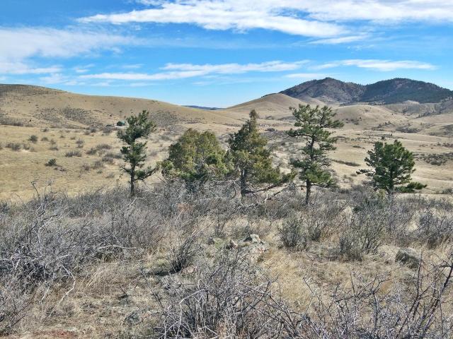 0 Gordon Creek Ln, Livermore, CO 80536 | MLS #1055