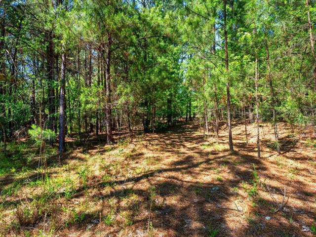 0 Gowdeysville Road # Lots 1 & 2