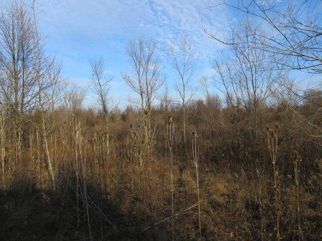 0 Grant St Lot 11, Merrillville, IN 46410