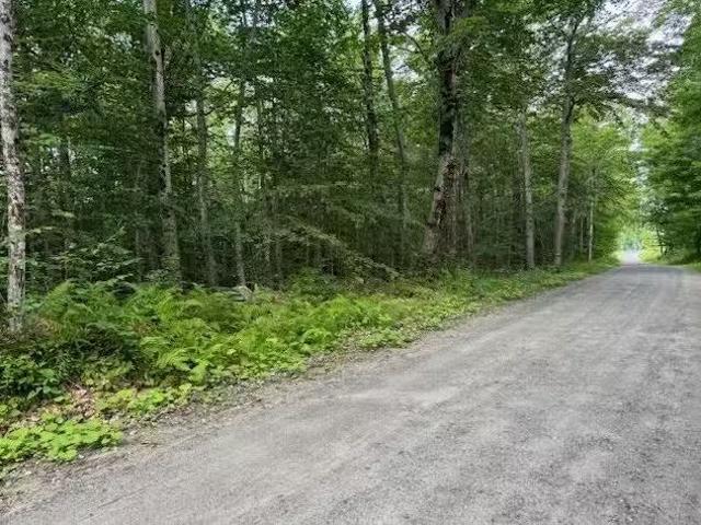 0 Grant St, Plainfield, MA 01070 MLS 73268207