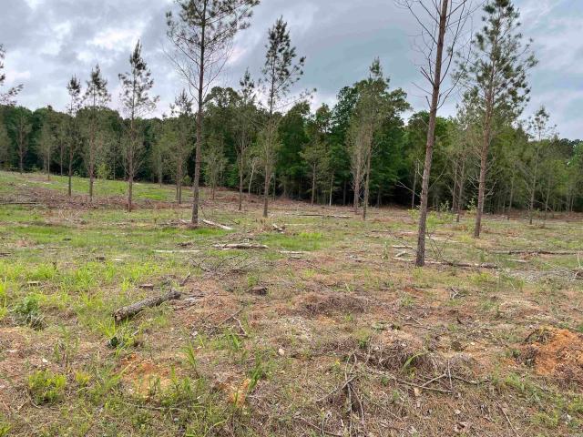 0 Grant 433 Tract B