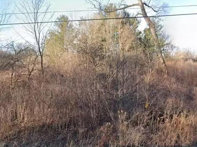 0 GRAY ROAD, LAPEER, MI 48446 Vacant Land For Sale MLS# 20240.