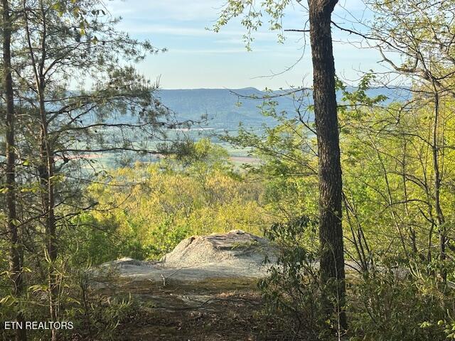 0 Gray Rock View