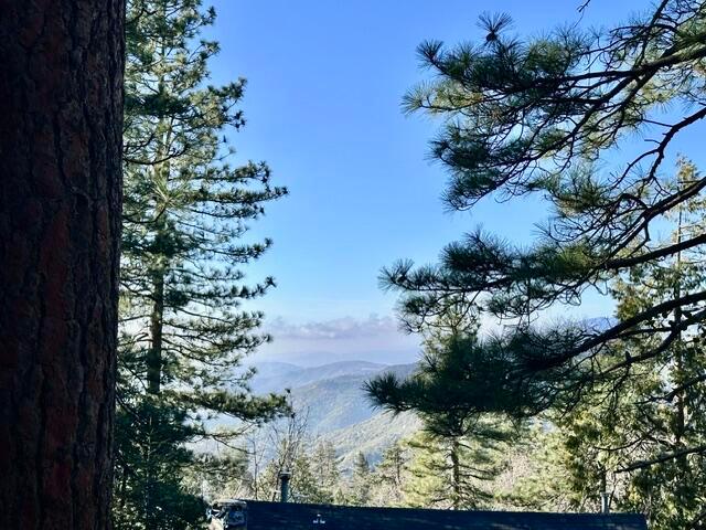0 Green Craig Dr, Idyllwild, CA 92549 | MLS #219143
