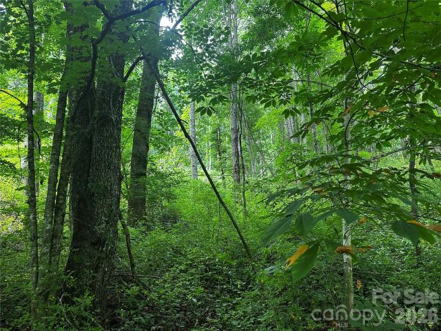 0 Green Creek Road