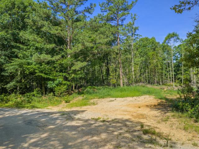 0 Green Hatley Branch Rd