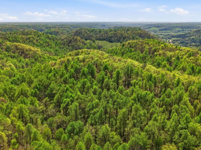 0 Green Rd, Beechgrove, TN 37018 | MLS #3173