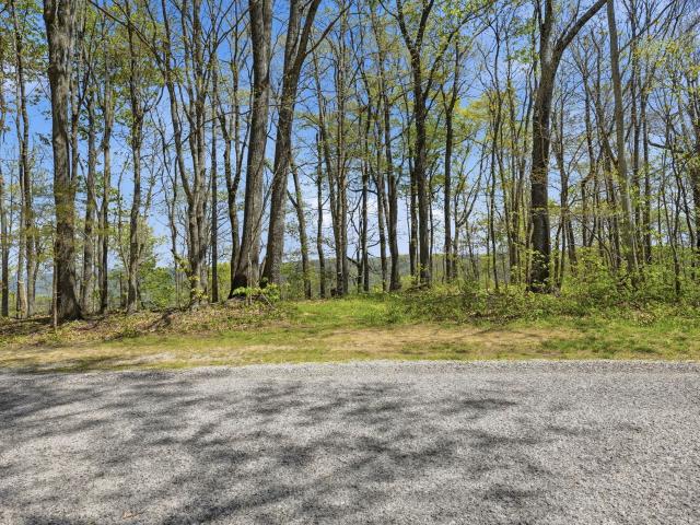 0 Green Road
