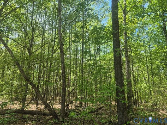 0 Greenfield Dr, Gladstone, VA 24553 | MLS #2609