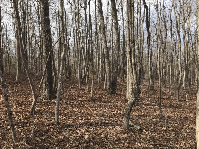 0 Greenfields Way N, Dunlap, TN 37327 | MLS #3123