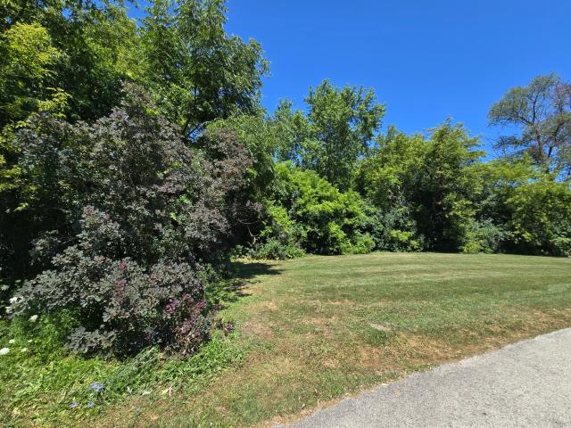 0 Greenview Avenue