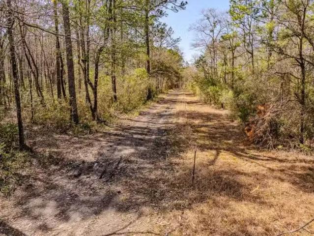0 GRIMSLEY ROAD, SATSUMA, AL 36572 Vacant Land For Sale MLS#.