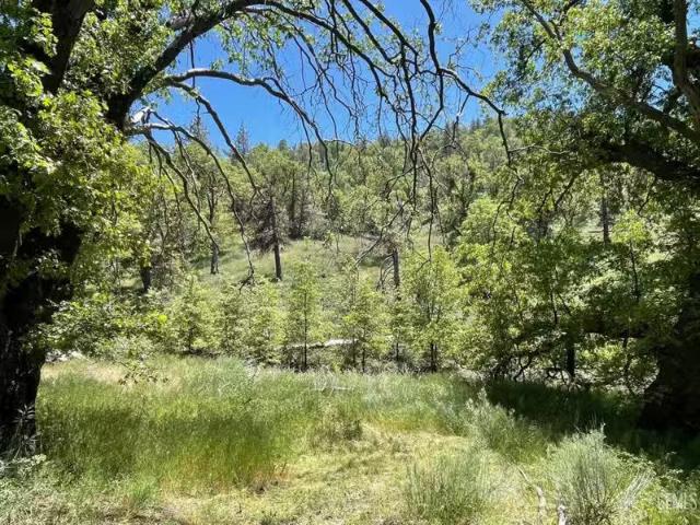 0 GRINDELWALD DRIVE, TEHACHAPI, CA 93561 Vacant Land For Sale.
