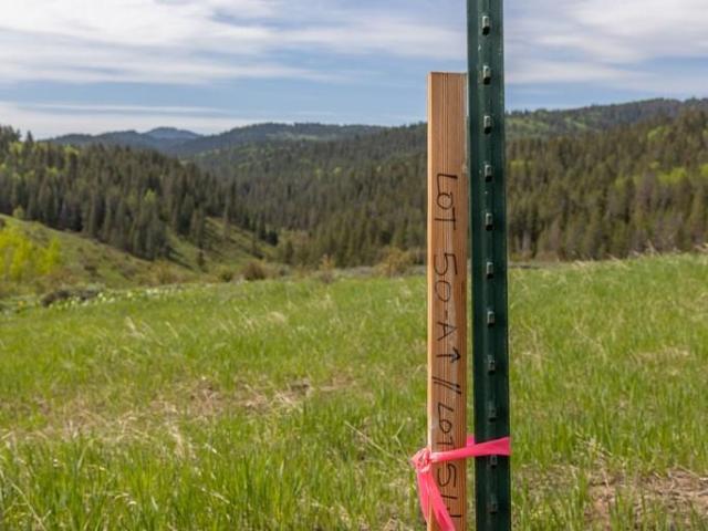 0 Grouse Creek Loop, Wayan, ID 83285 | MLS #2184