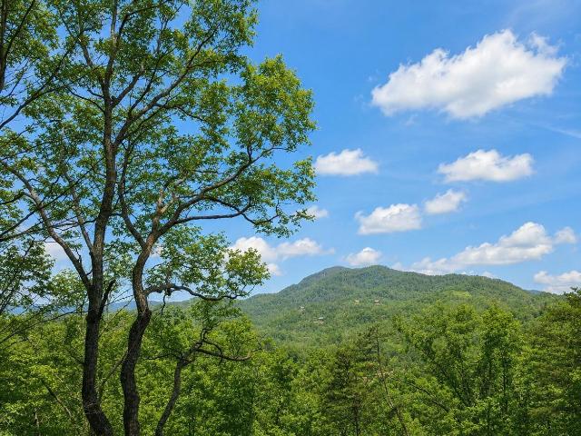 0 Grouse Ridge Lane