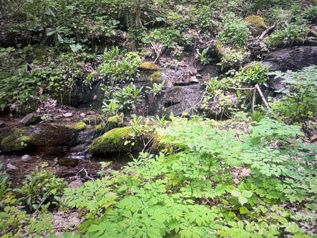 0 Huckleberry Walk # 61