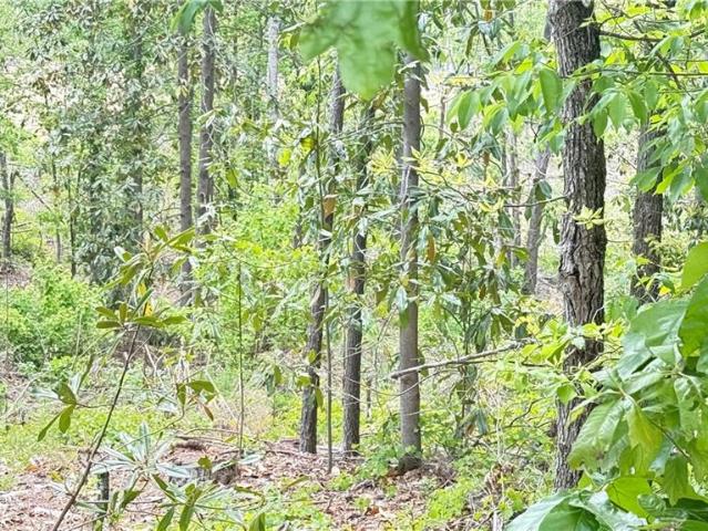 0 Hulseytown Rd, Dallas, GA 30157 | MLS #7621 | Compass
