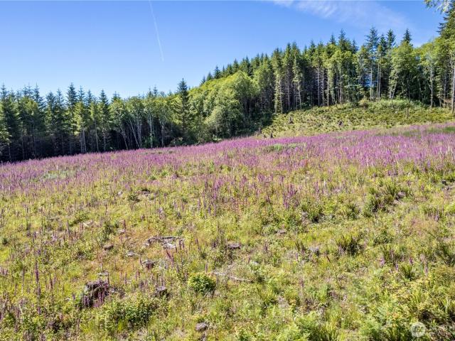0 Hunter Rd, Longview, WA 98632 | MLS #2298