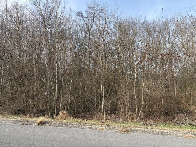 0 Hunters Landing Dr, Manchester, TN 37355 | MLS #3097