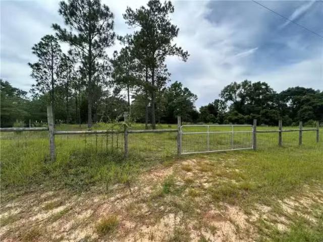 0 HUNTERS TRAIL, CITRONELLE, AL 36522