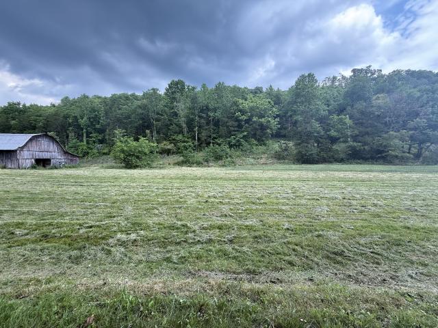 0 Hurricane Branch lane