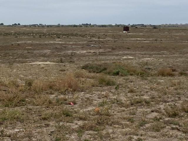 0 Hwy 52 Wiggins, CO 80654 | MLS #1049