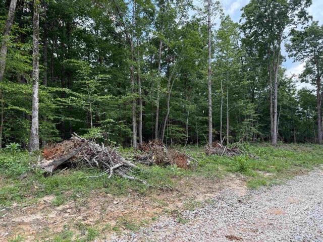 0 Hwy 69 Savannah, TN 38372 | MLS #3093