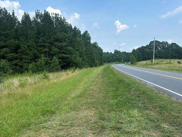 0 Hwy 73 Hwy, Iron Station, NC 28080 | MLS #4351