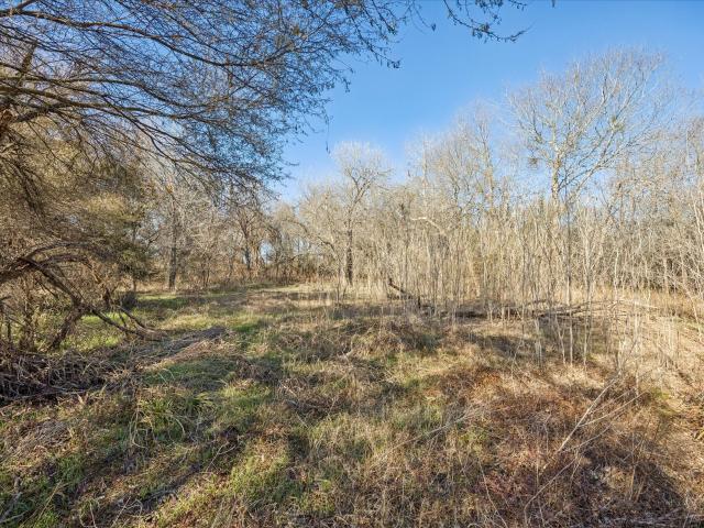 0 Hwy 71 La, Grange, TX 78945 | MLS #60980
