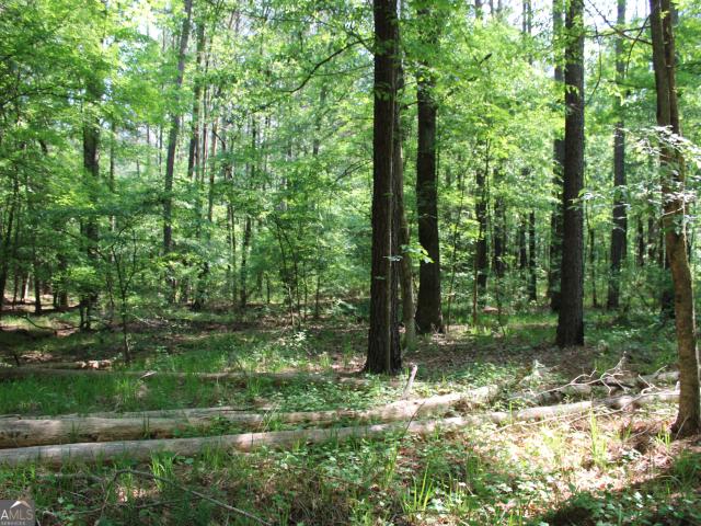 0 Hwy 87 Tract 2