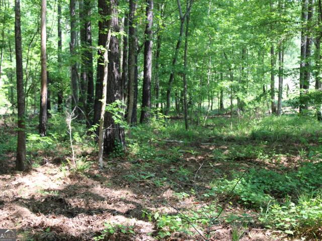 0 Hwy 87 Tract 3